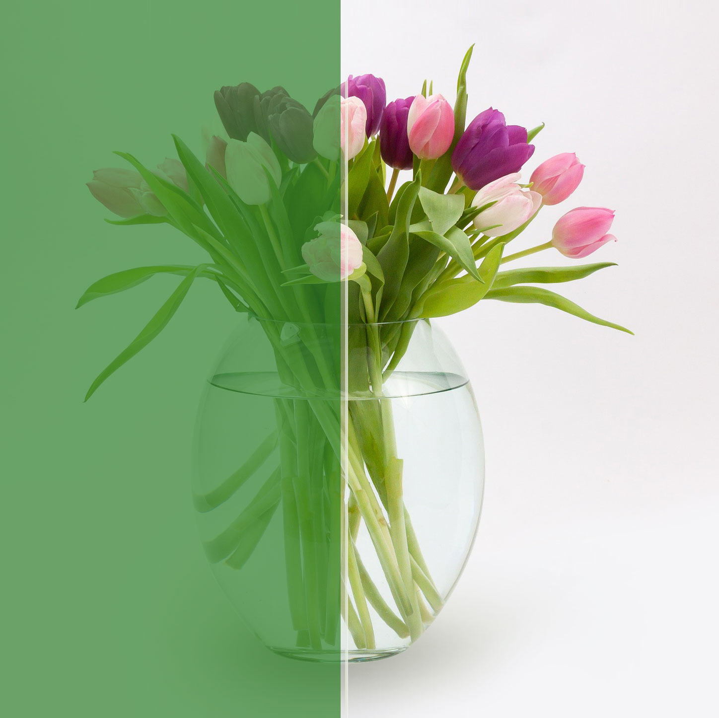 Sun Control Film/Frosted Film Price - Sunshine Decors